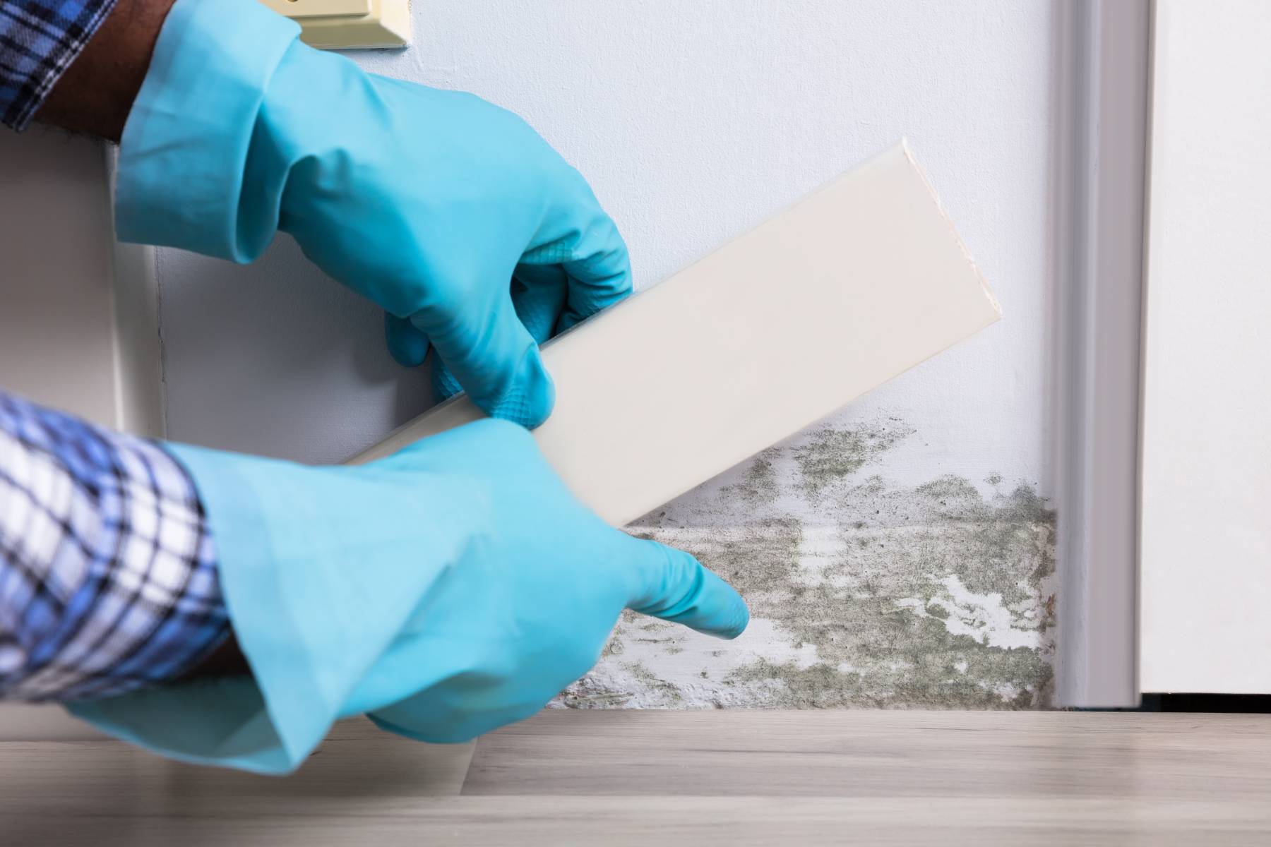 Dangers of Mold in Your Home : Causes and Prevention Tips | HomeSource ...